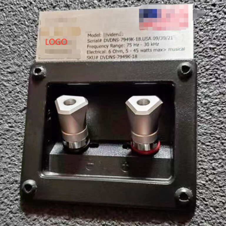 Speaker Wiring Guide: Everything You Need to Know - Rasantekaudio